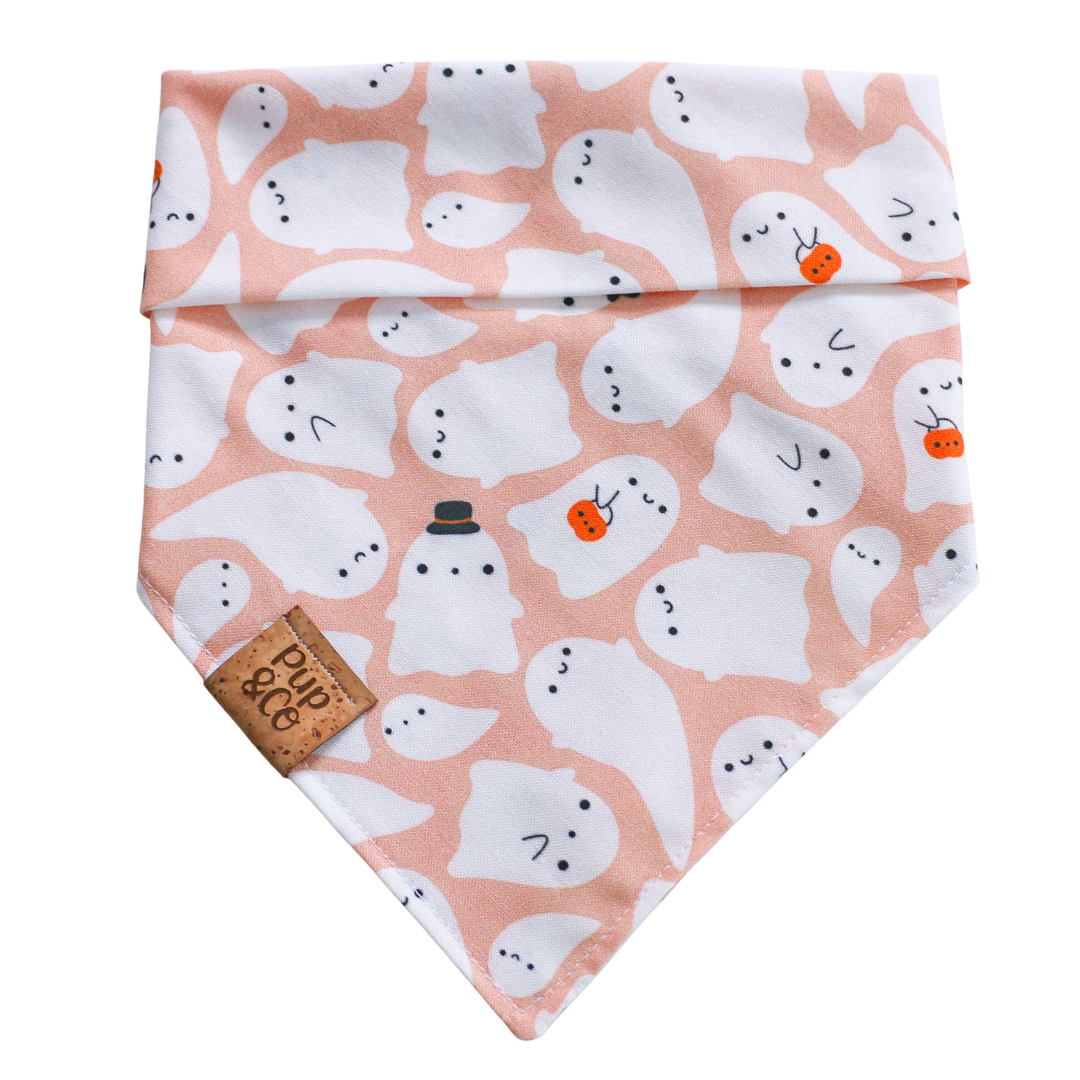 boo crew – Pup & Co.